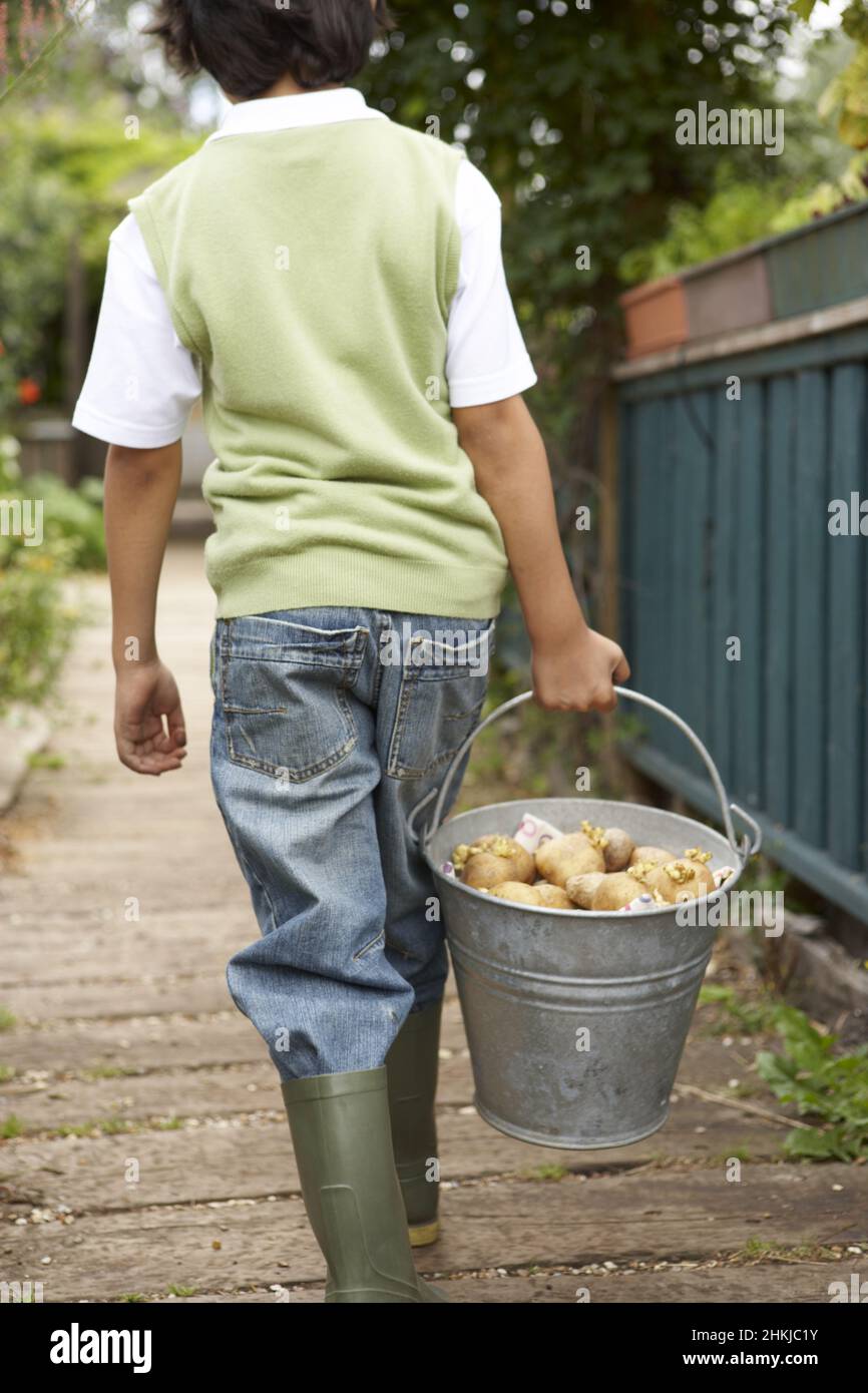 Boy carrying bucket of potatoes Stock Photo - Alamy