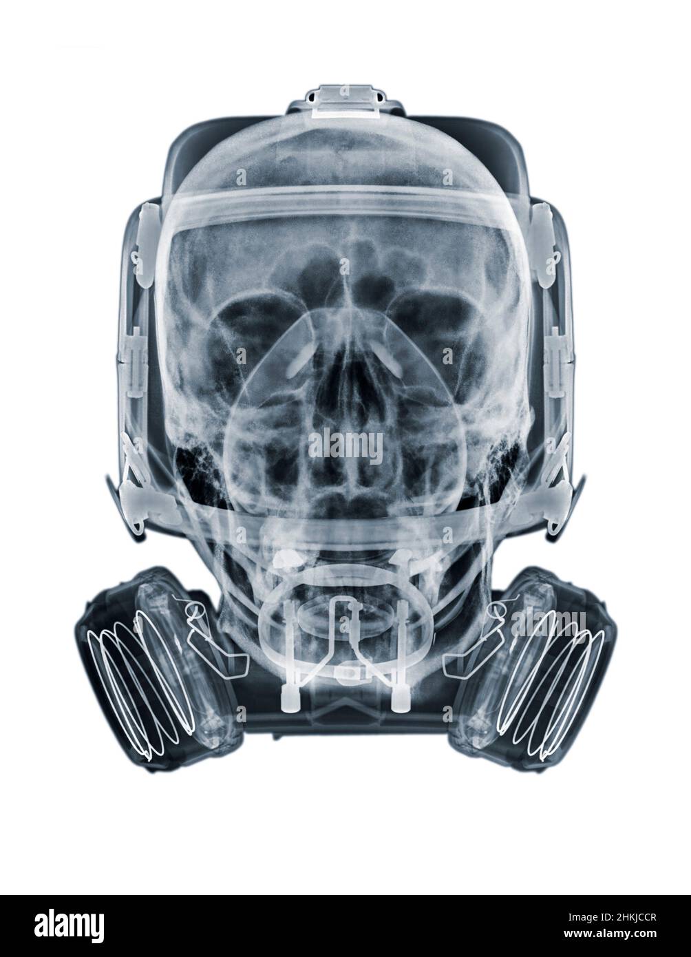 Skull and wearing a gasmask, X-ray Stock Photo - Alamy
