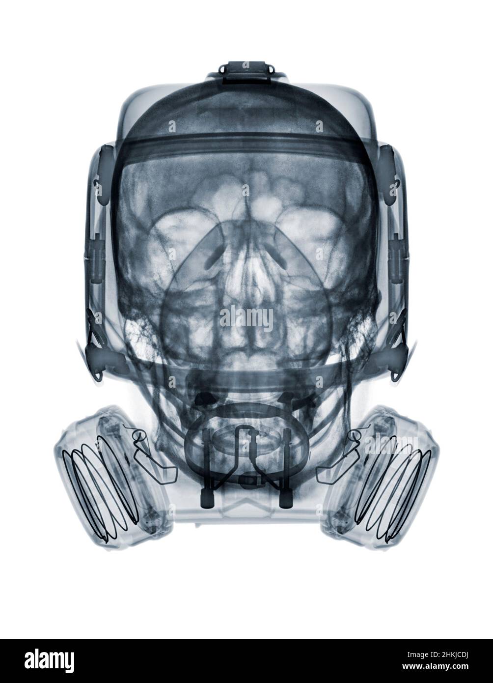 Skull wearing a gasmask, X-ray Stock Photo - Alamy