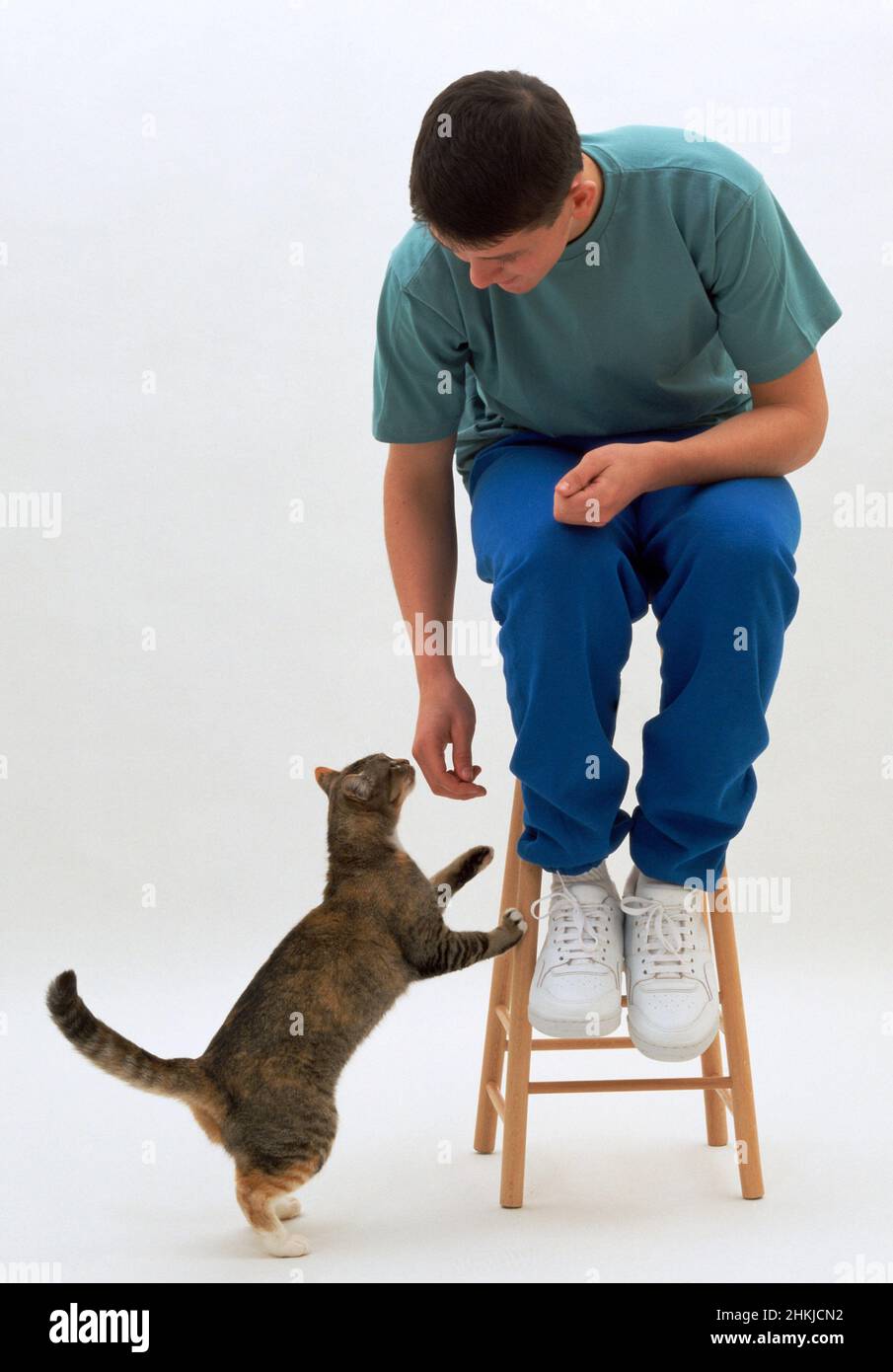 Cat reaching up to a man's hand as he bends down Stock Photo - Alamy
