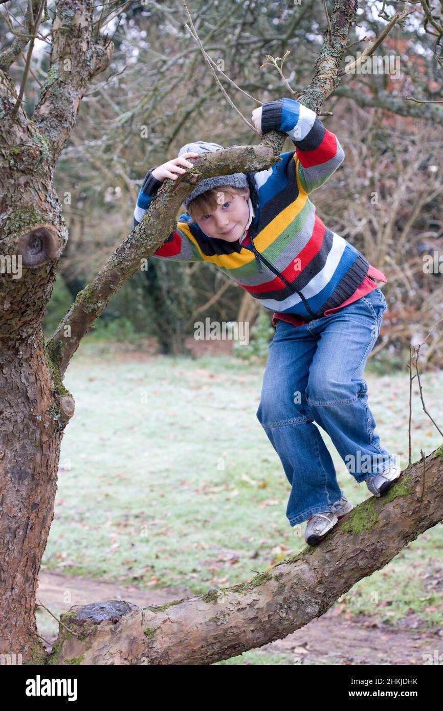 Boy climbing tree Stock Photo - Alamy