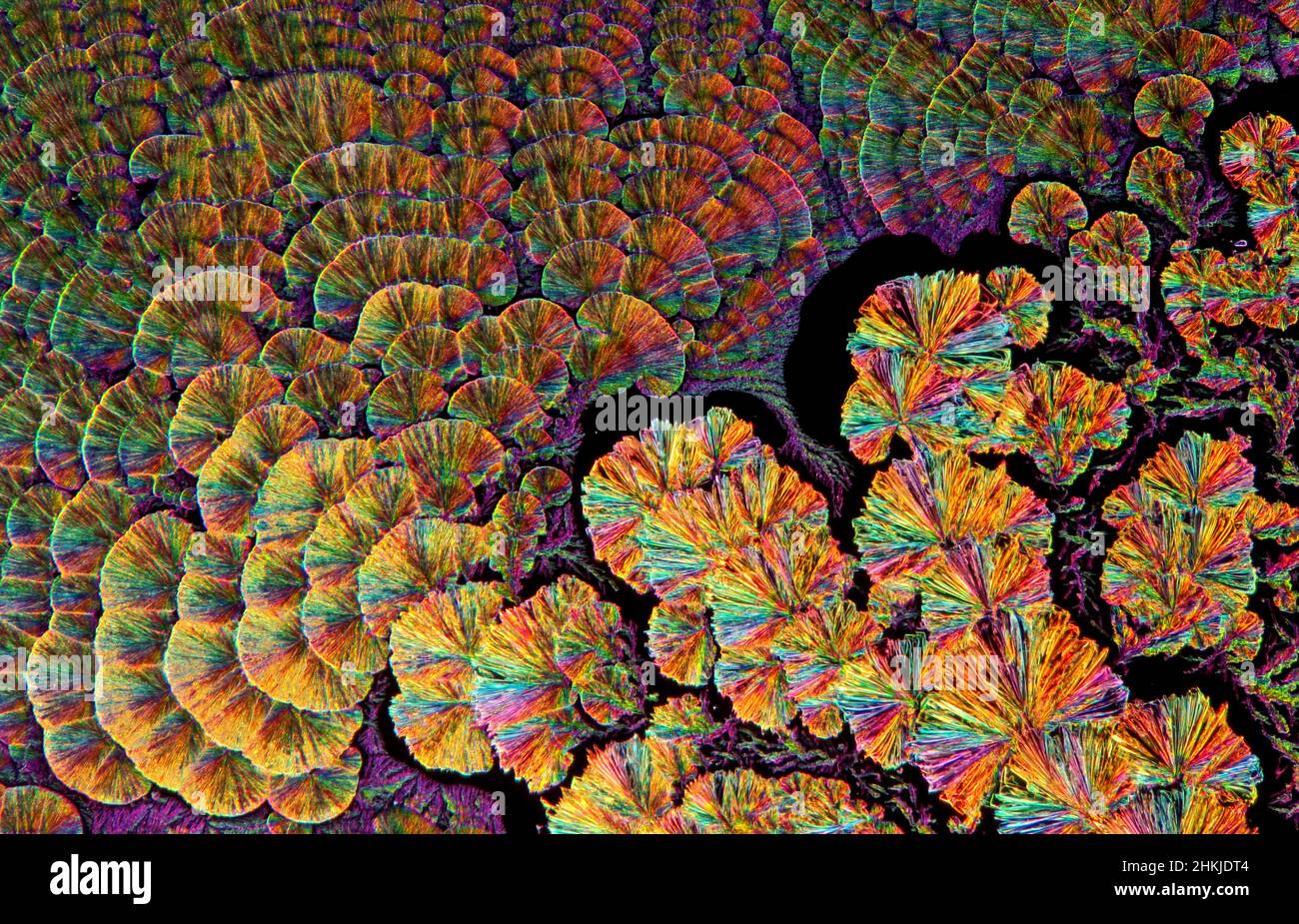 Vitamin C, polarized light micrograph Stock Photo - Alamy