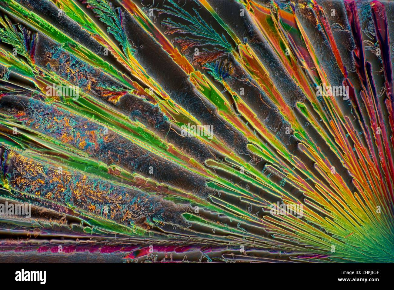 Glycine crystals, polarised light micrograph Stock Photo - Alamy
