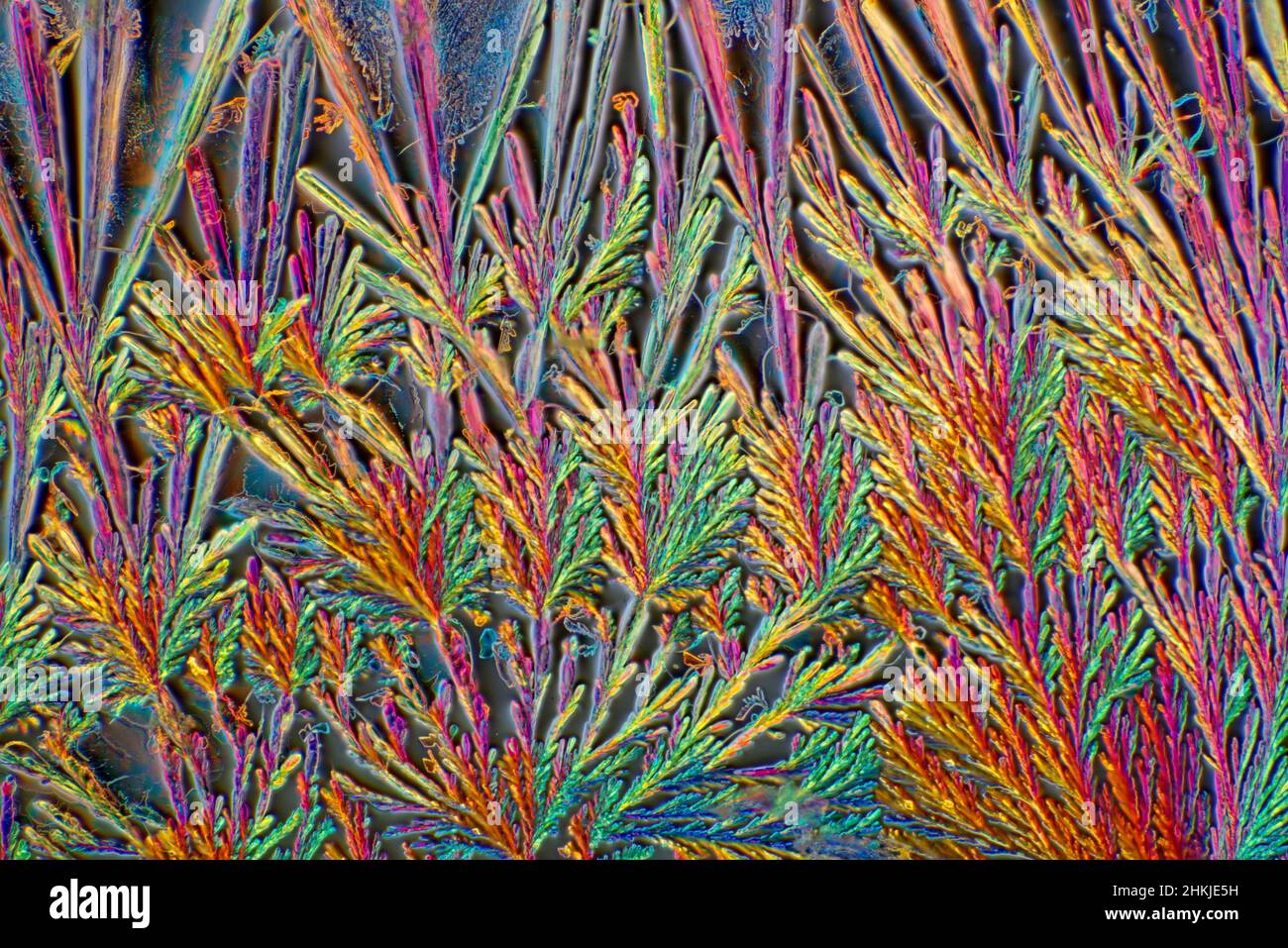 Glycine crystals, polarised light micrograph Stock Photo - Alamy