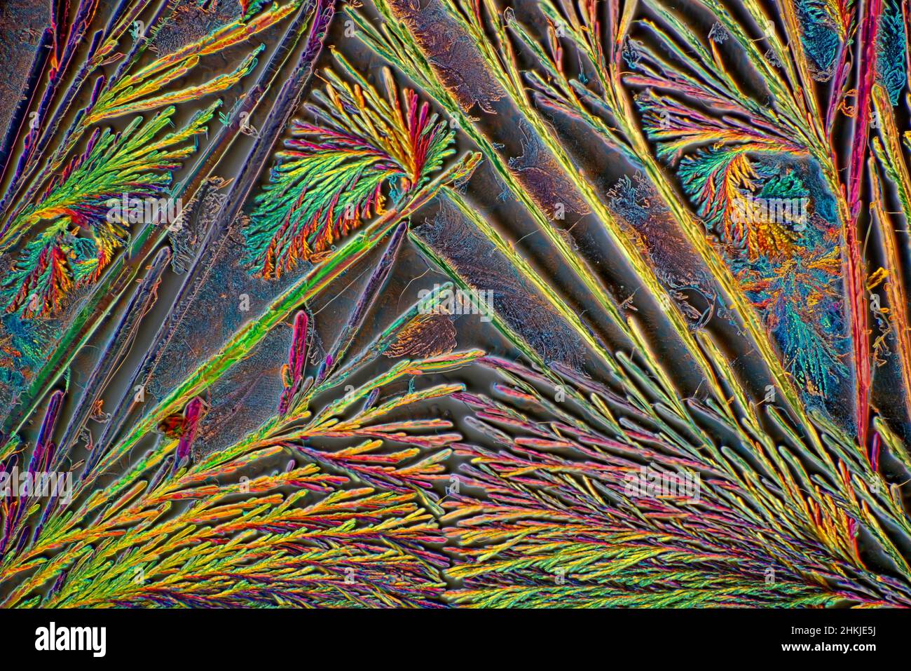 Glycine crystals, polarised light micrograph Stock Photo - Alamy
