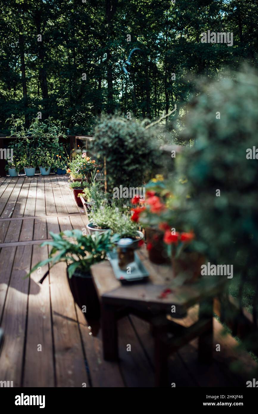 Porch flowers trees hi-res stock photography and images - Alamy