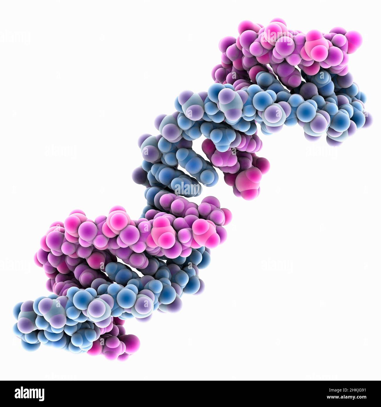 Interstrand DNA crosslink, illustration Stock Photo - Alamy