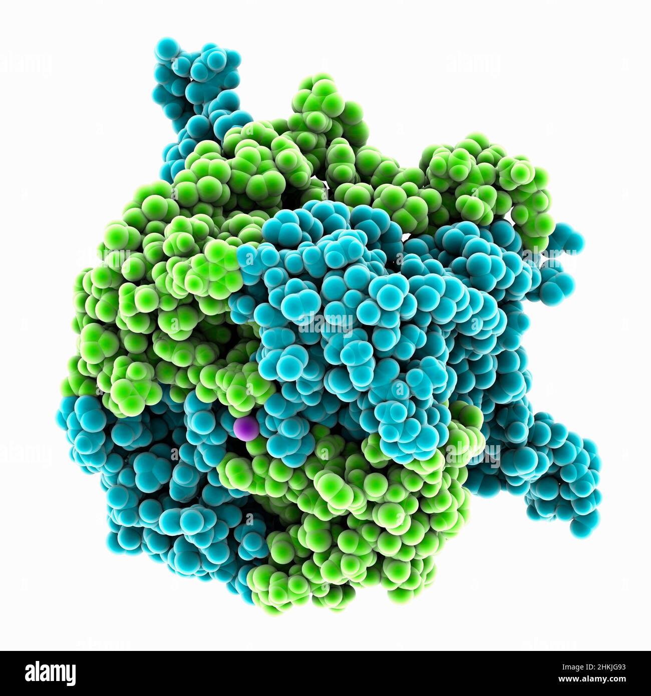 Sodium potassium ion channel, molecular model Stock Photo - Alamy