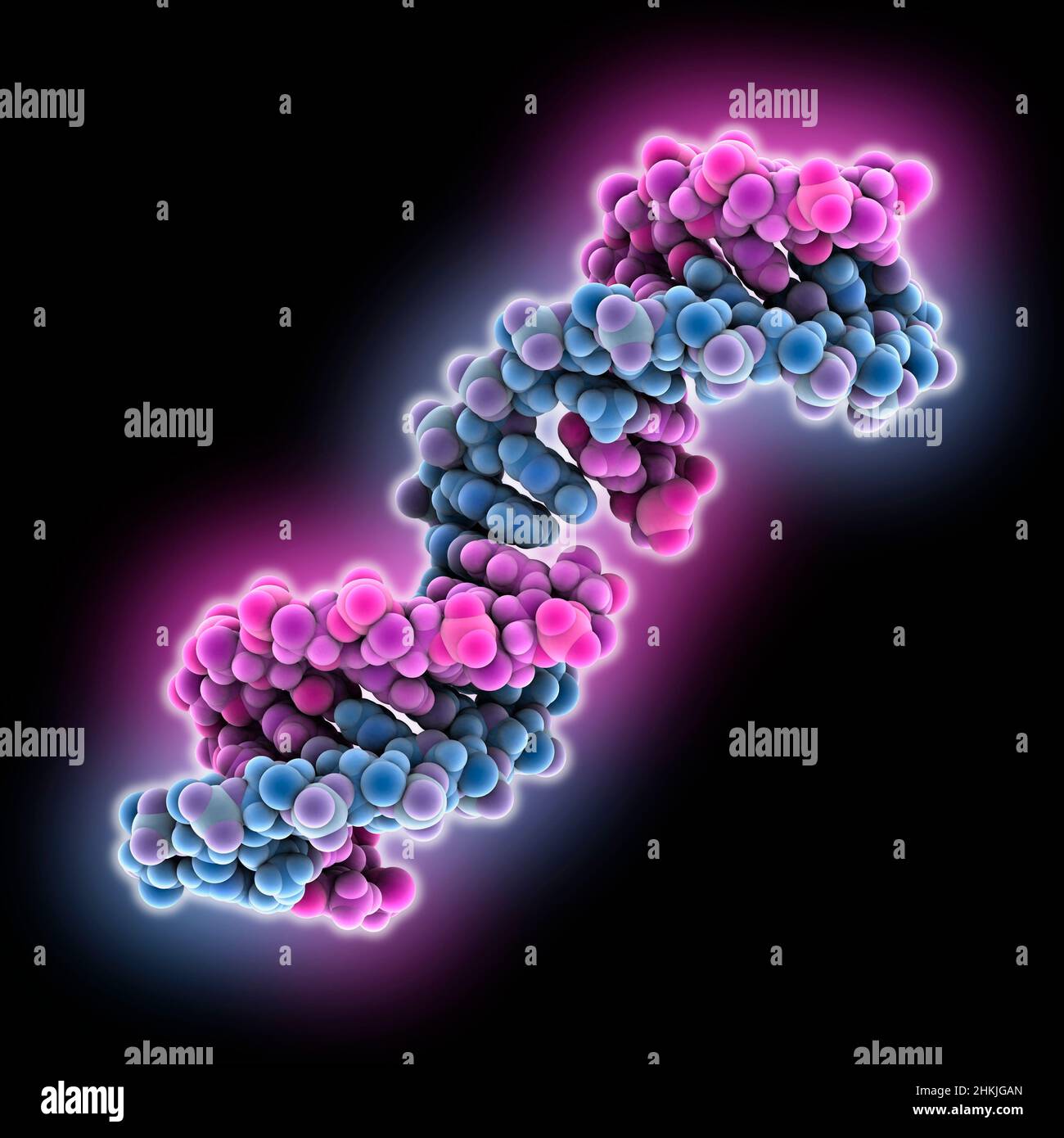 Interstrand DNA crosslink, illustration Stock Photo - Alamy