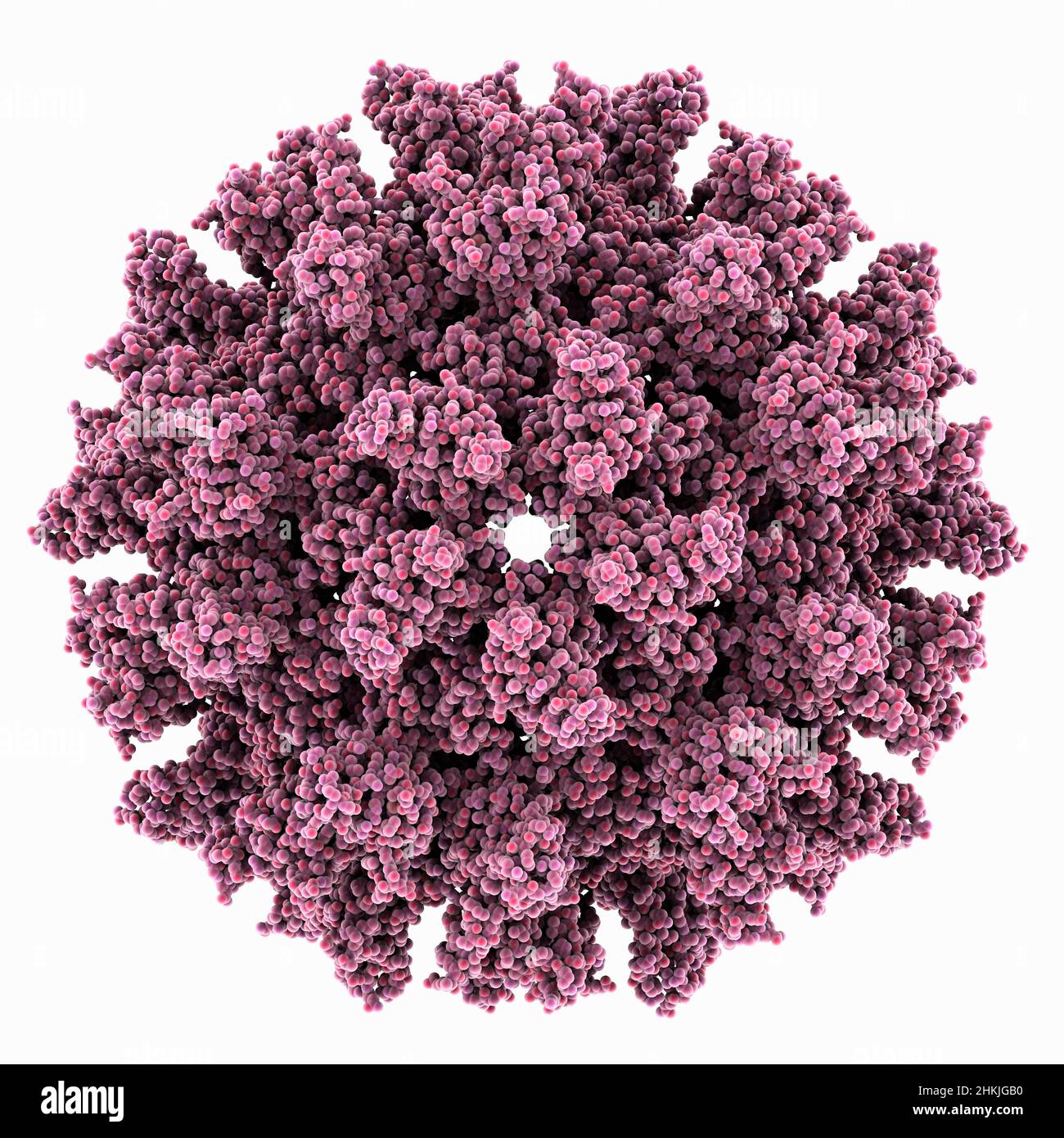 Rous sarcoma virus capsid, molecular model Stock Photo - Alamy