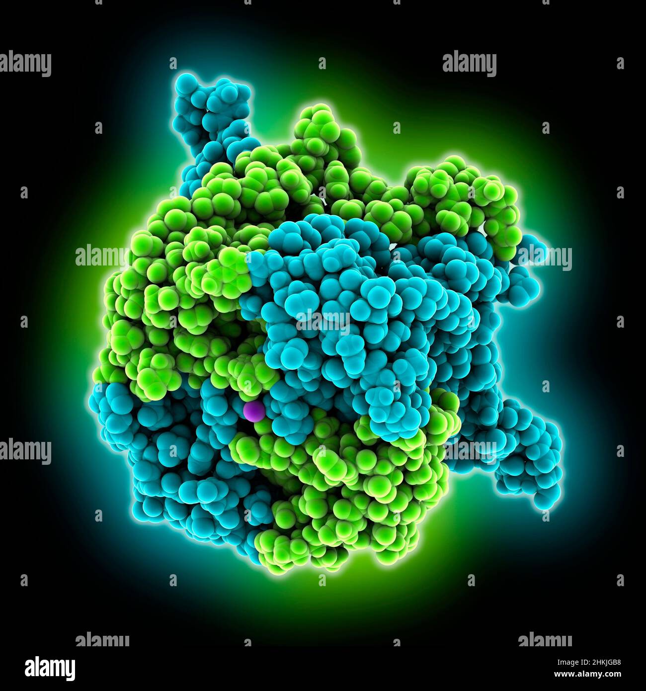 Sodium potassium ion channel, molecular model Stock Photo - Alamy