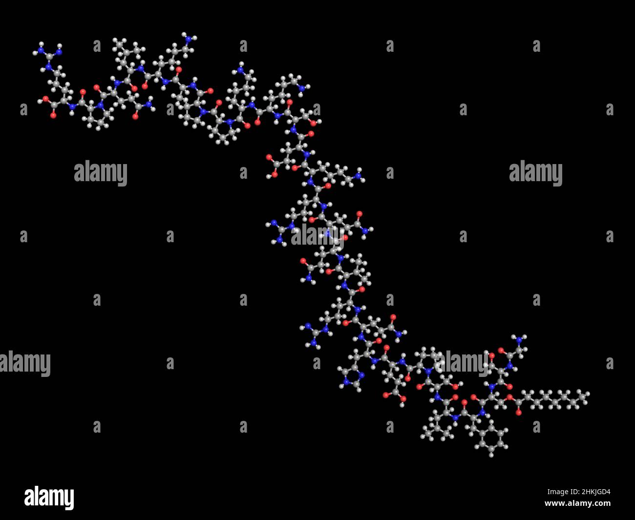 Human ghrelin, molecular model Stock Photo - Alamy