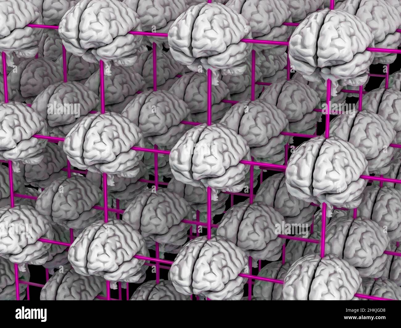 Brain grid, conceptual Illustration Stock Photo - Alamy