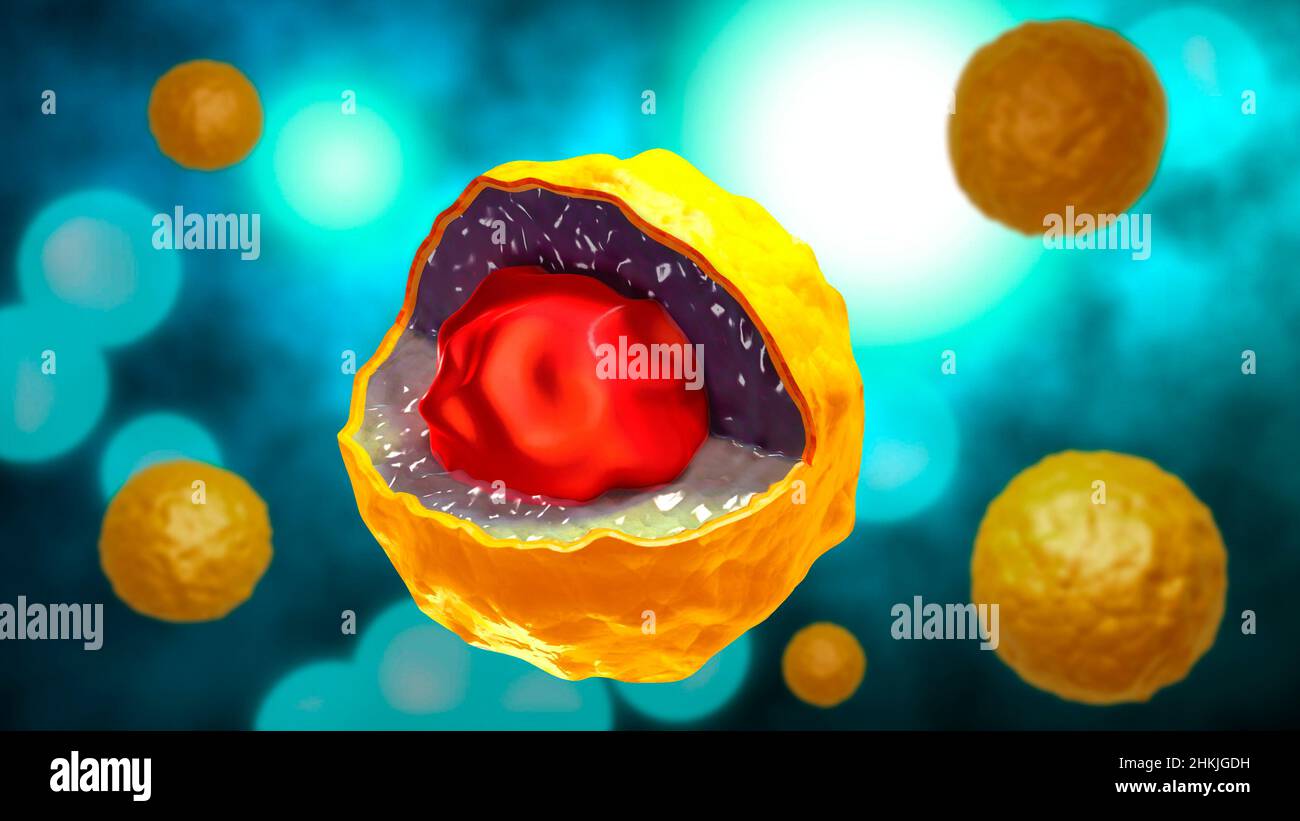 Chlamydia trachomatis bacteria, illustration Stock Photo - Alamy