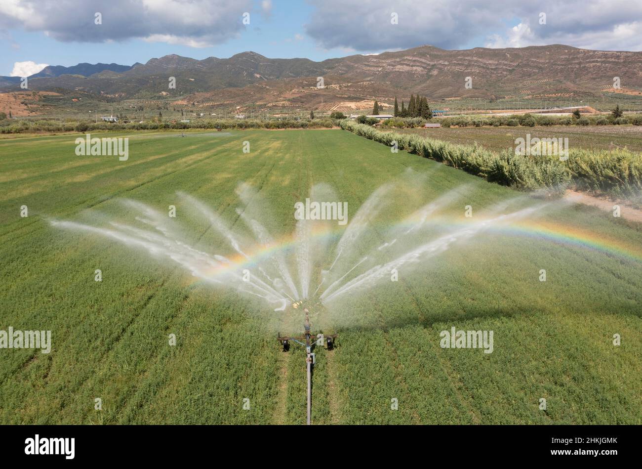 Irrigation of alfalfa field in Greece Stock Photo - Alamy