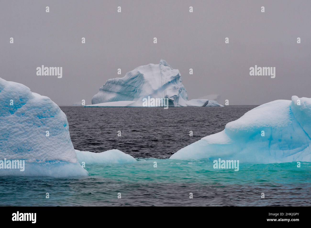 Icebergs in Portal Point, Antarctica Stock Photo - Alamy
