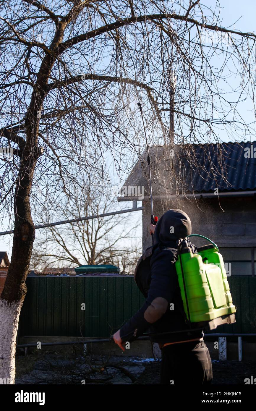 Organic ecological agriculture. Defocus farmer man spraying tree with ...