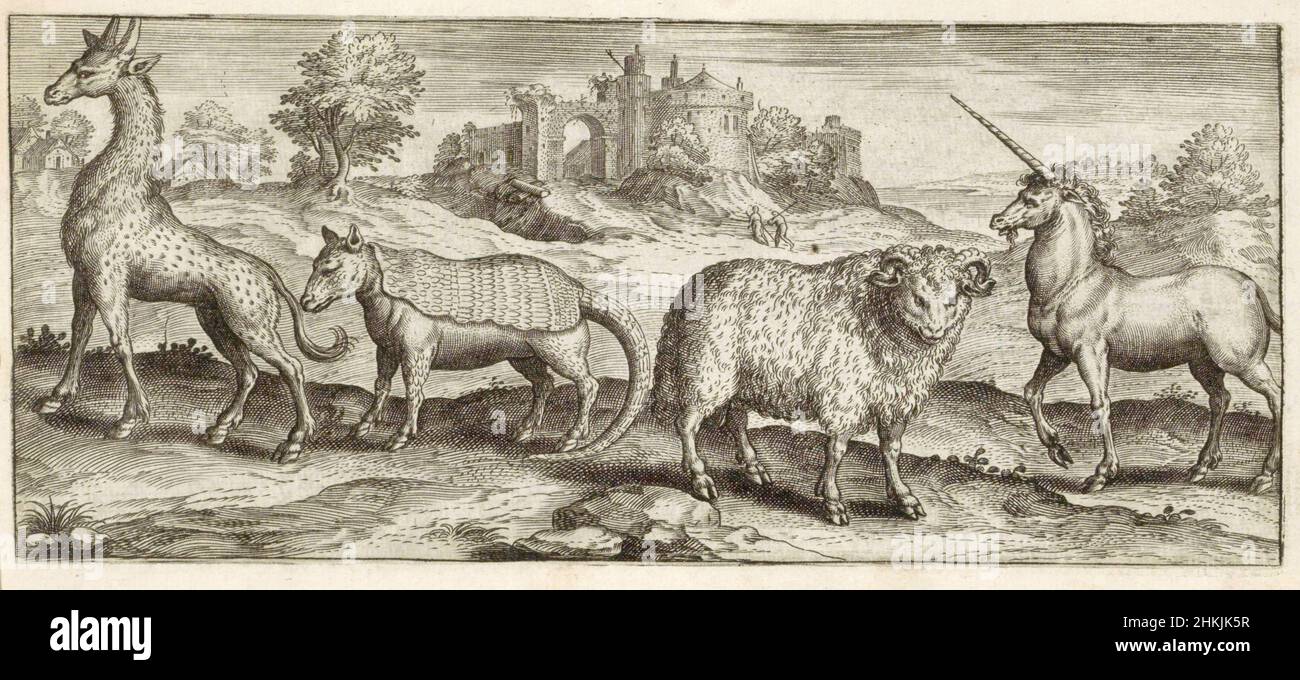 Four-footed animals, 16th century illustration Stock Photo - Alamy