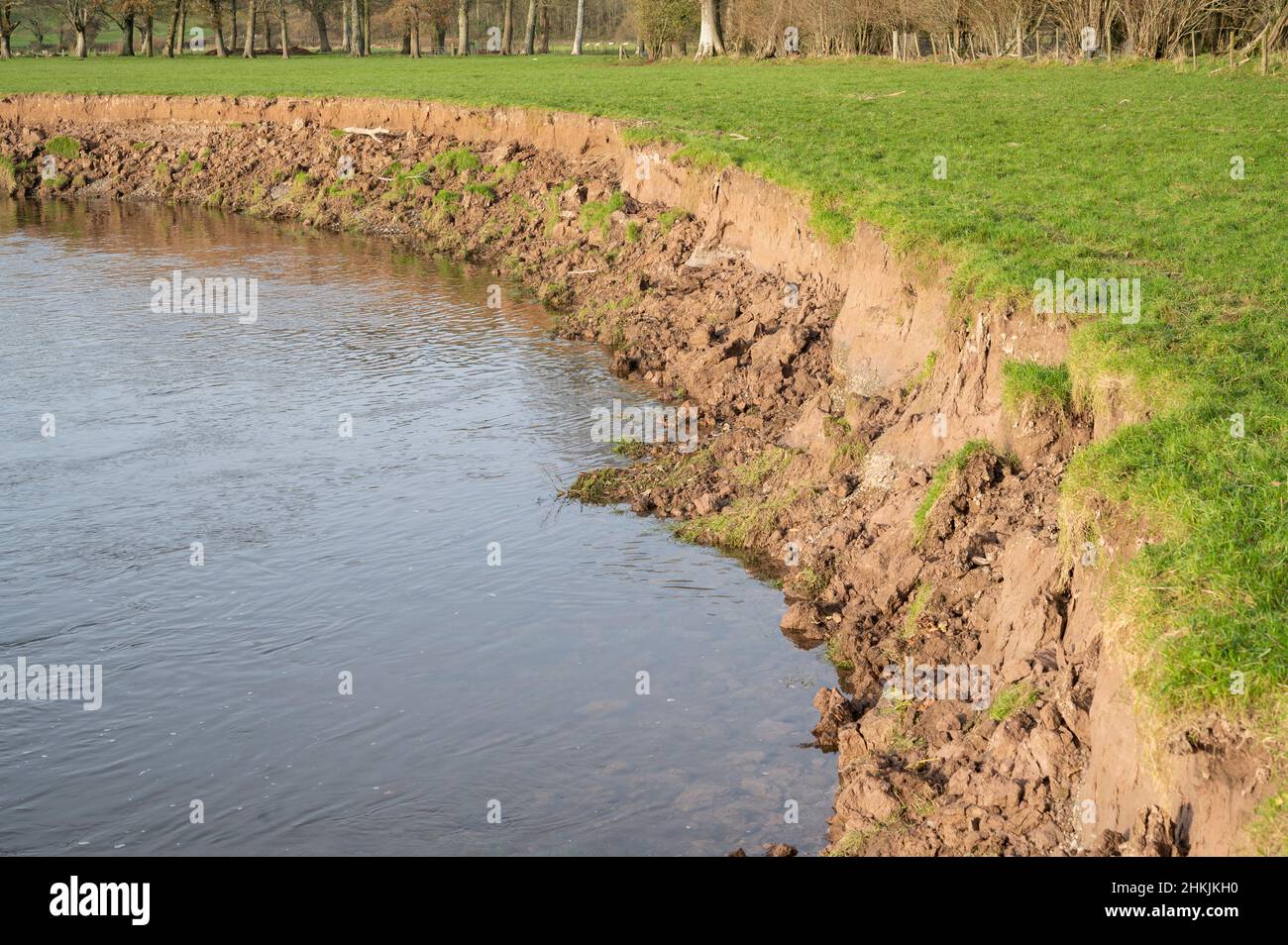 Erosion of the bank of the River Towy, Wales Stock Photo - Alamy