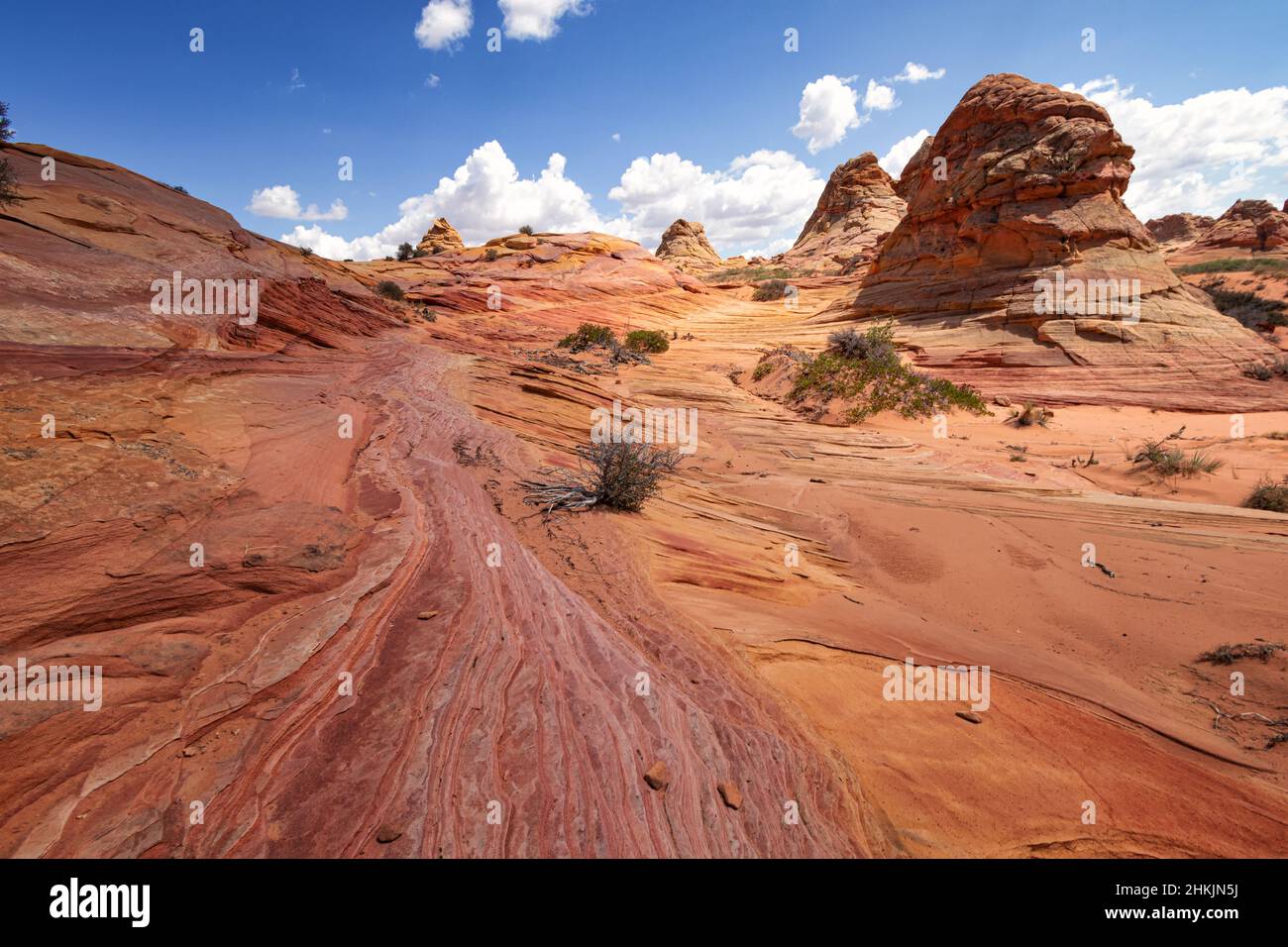 Rock Formations in Coyote Buttes, Utah Stock Photo - Alamy