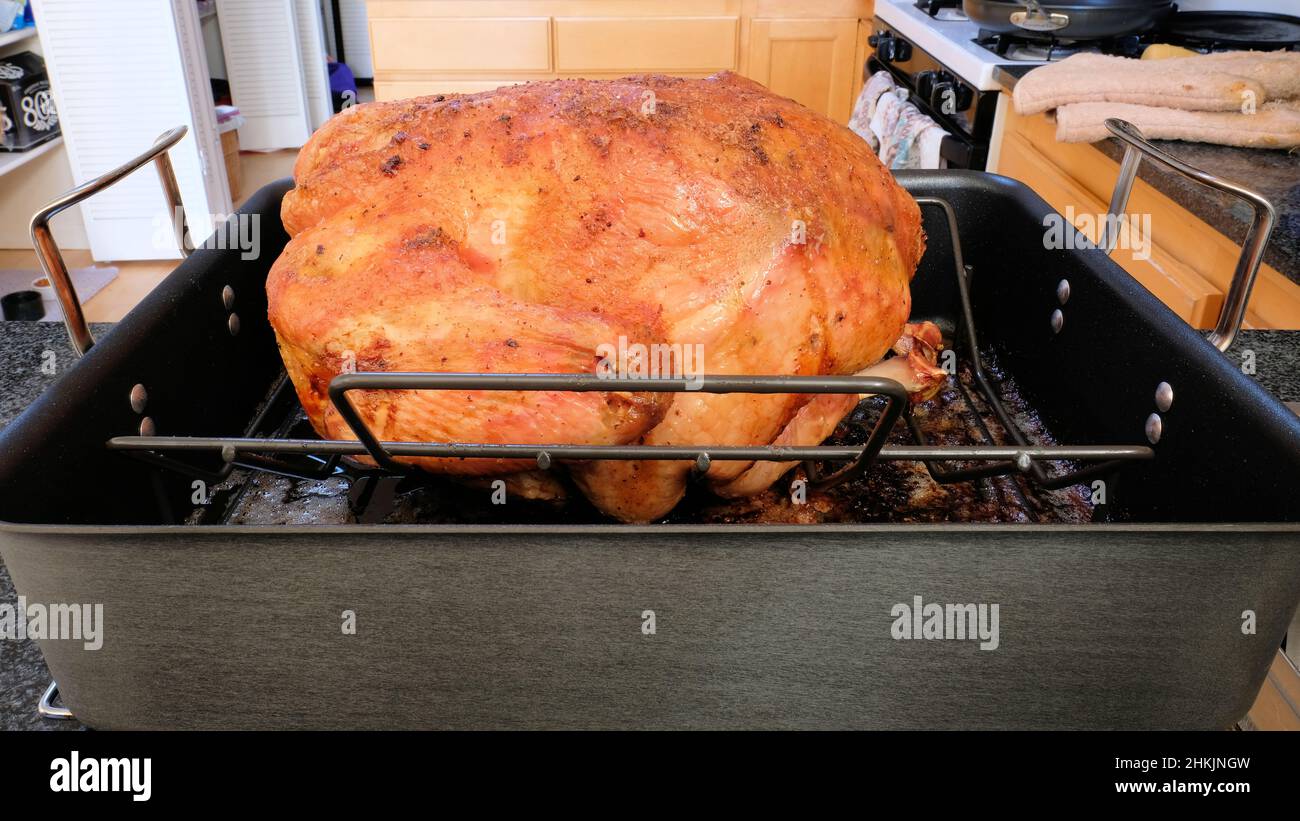 Side view of a fresh out of the oven roasted turkey resting on a rack ...