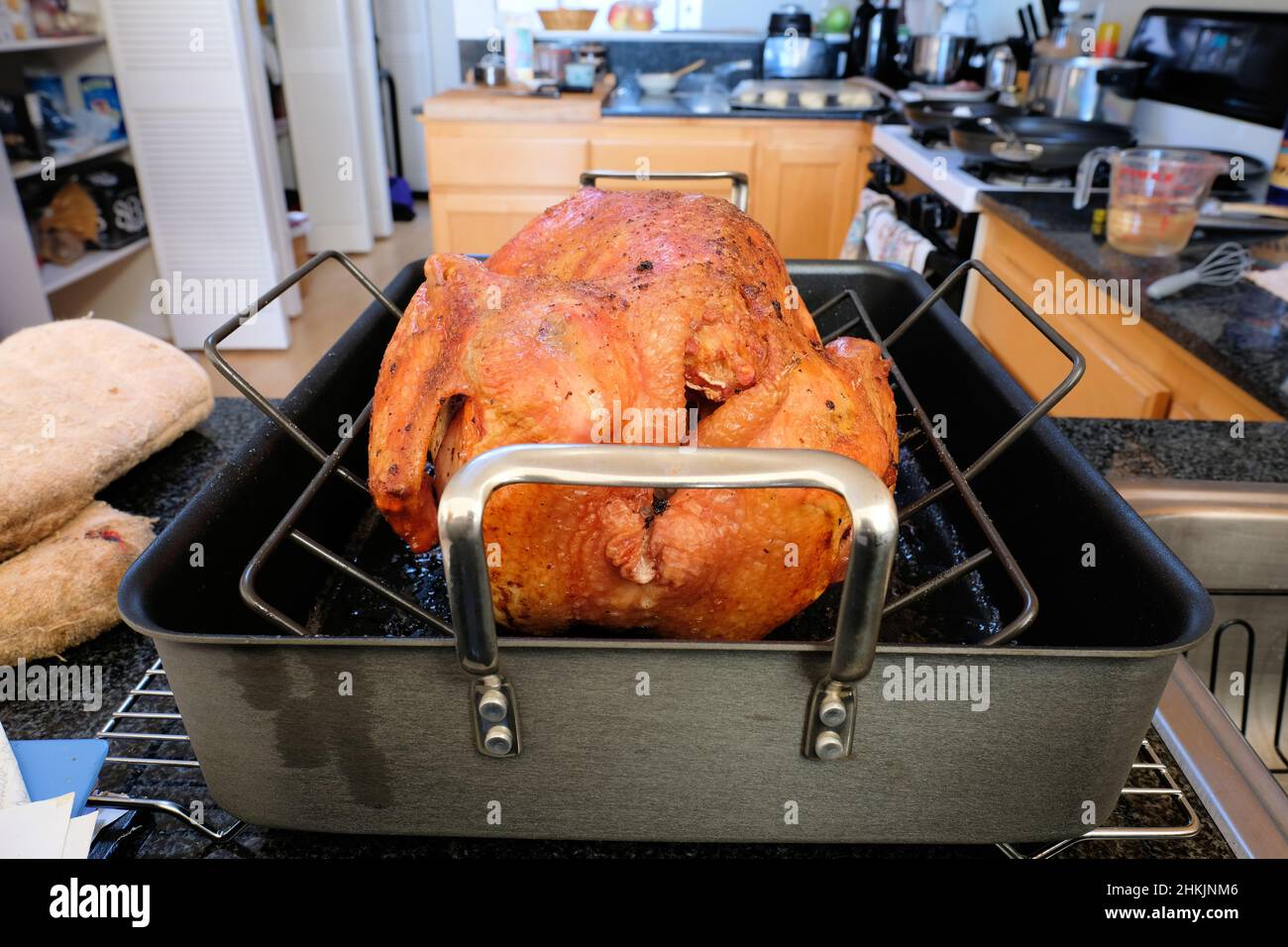 Front view of a fresh out of the oven roasted turkey resting on a rack ...