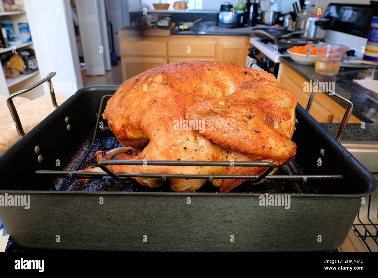 Side view of a fresh out of the oven roasted turkey resting on a rack ...