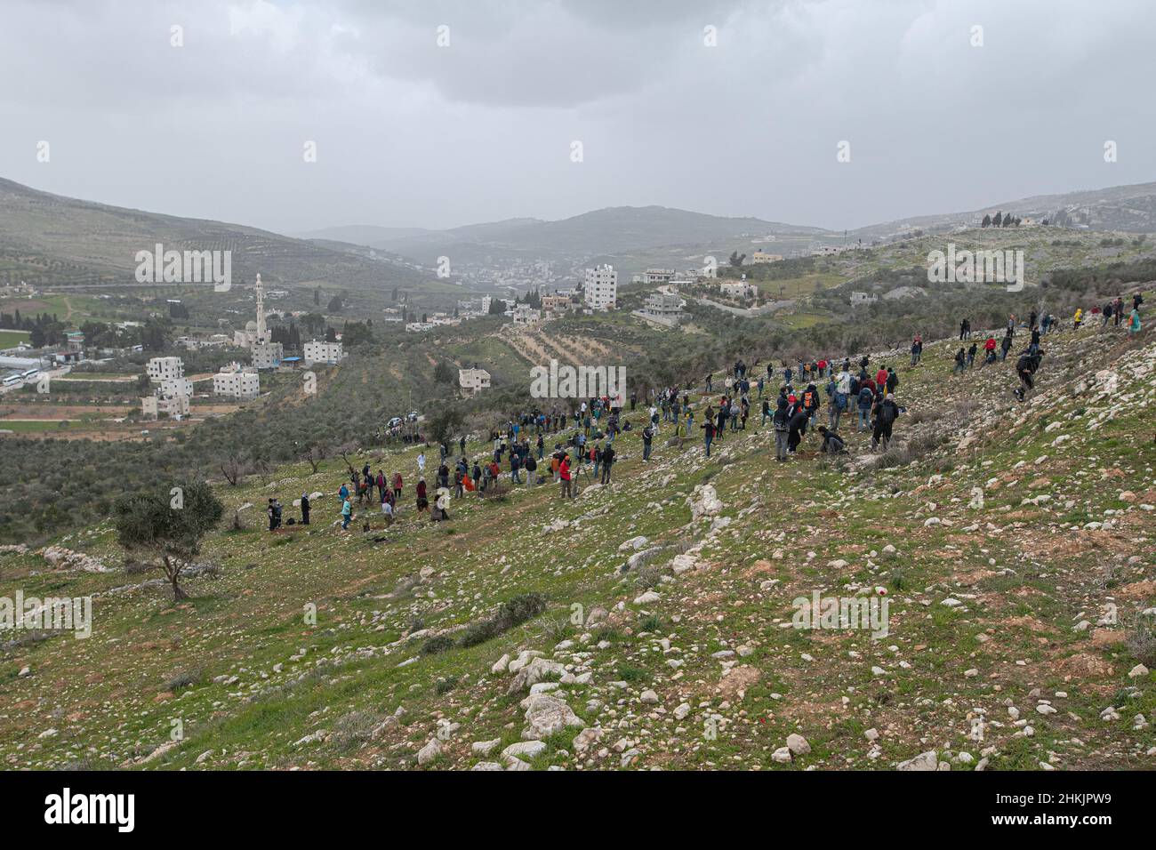 Burin, Palestine. 04th Feb, 2022. Israeli Peace activists planting ...