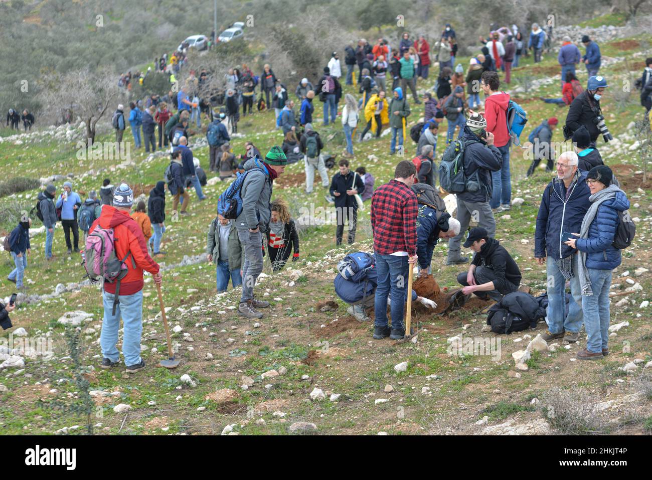 Burin, Palestine. 04th Feb, 2022. Israeli Peace activists planting ...