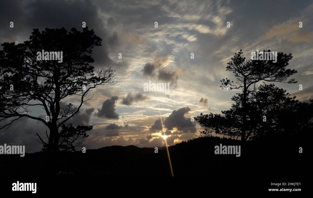 Nice sunset with trees hi-res stock photography and images - Alamy