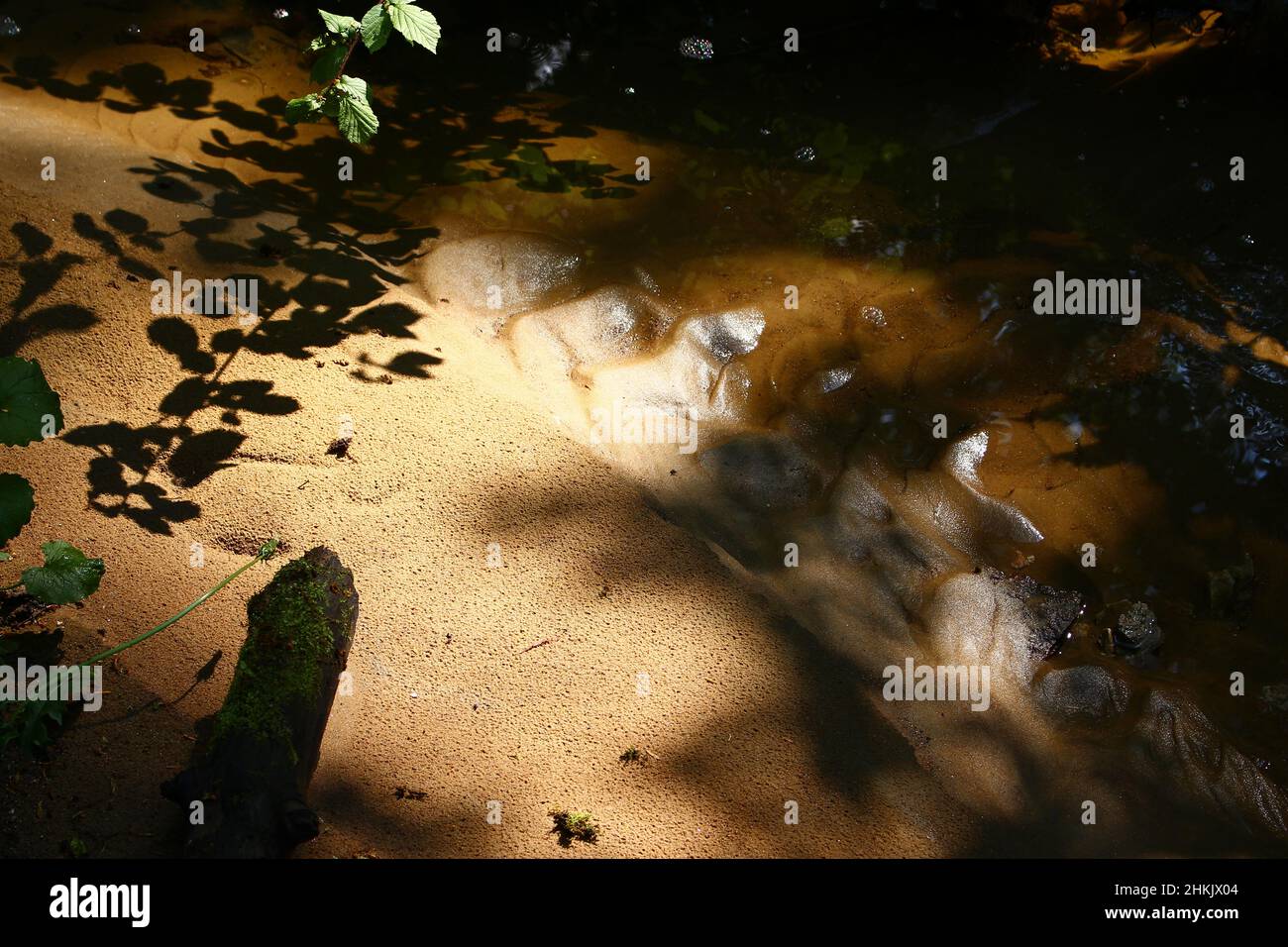 Sandy stream bed hi-res stock photography and images - Alamy