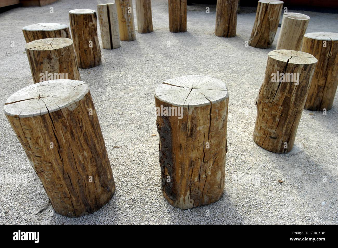 tree stumps for seating, Germany Stock Photo - Alamy