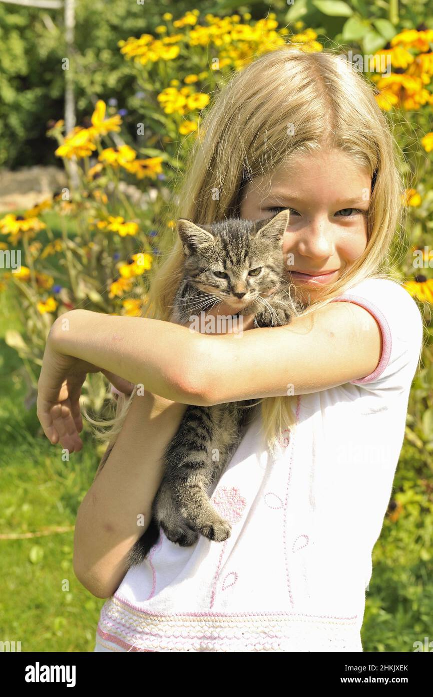 domestic cat, house cat (Felis silvestris f. catus), little blonde girl ...