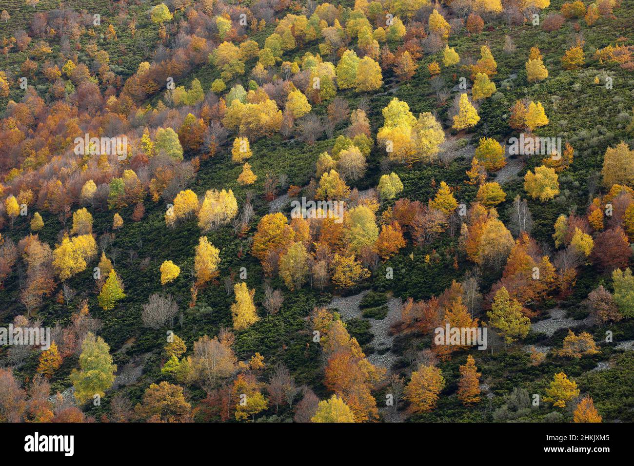 autumn in Picos de Europa national park, Spain, Cantabria, Basque ...
