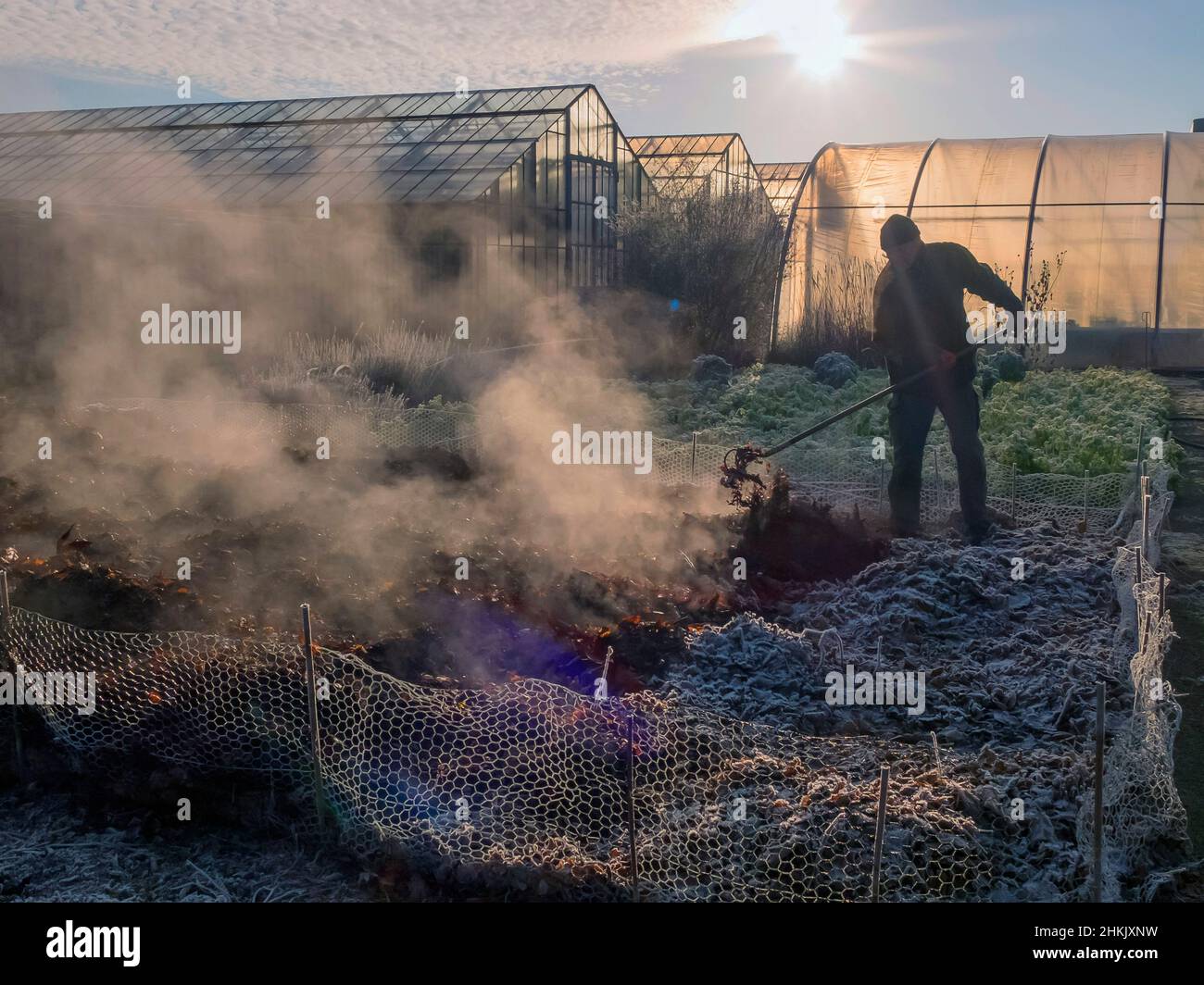 compost is turned on a bed in winter, Germany, Hamburg Stock Photo - Alamy
