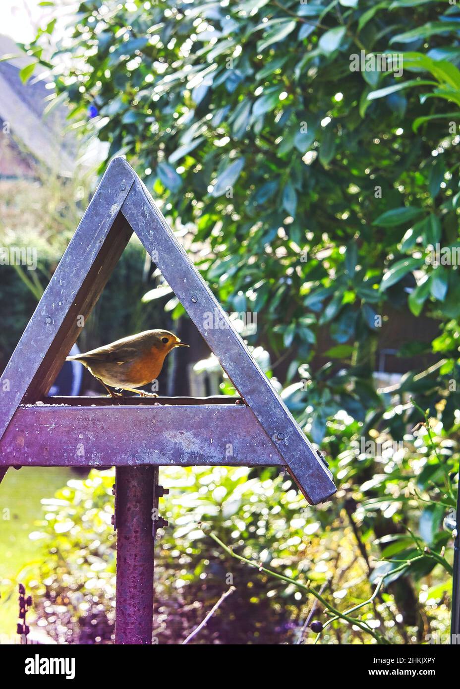 Photo of an triangular iron bird house with a robin inside it Stock ...