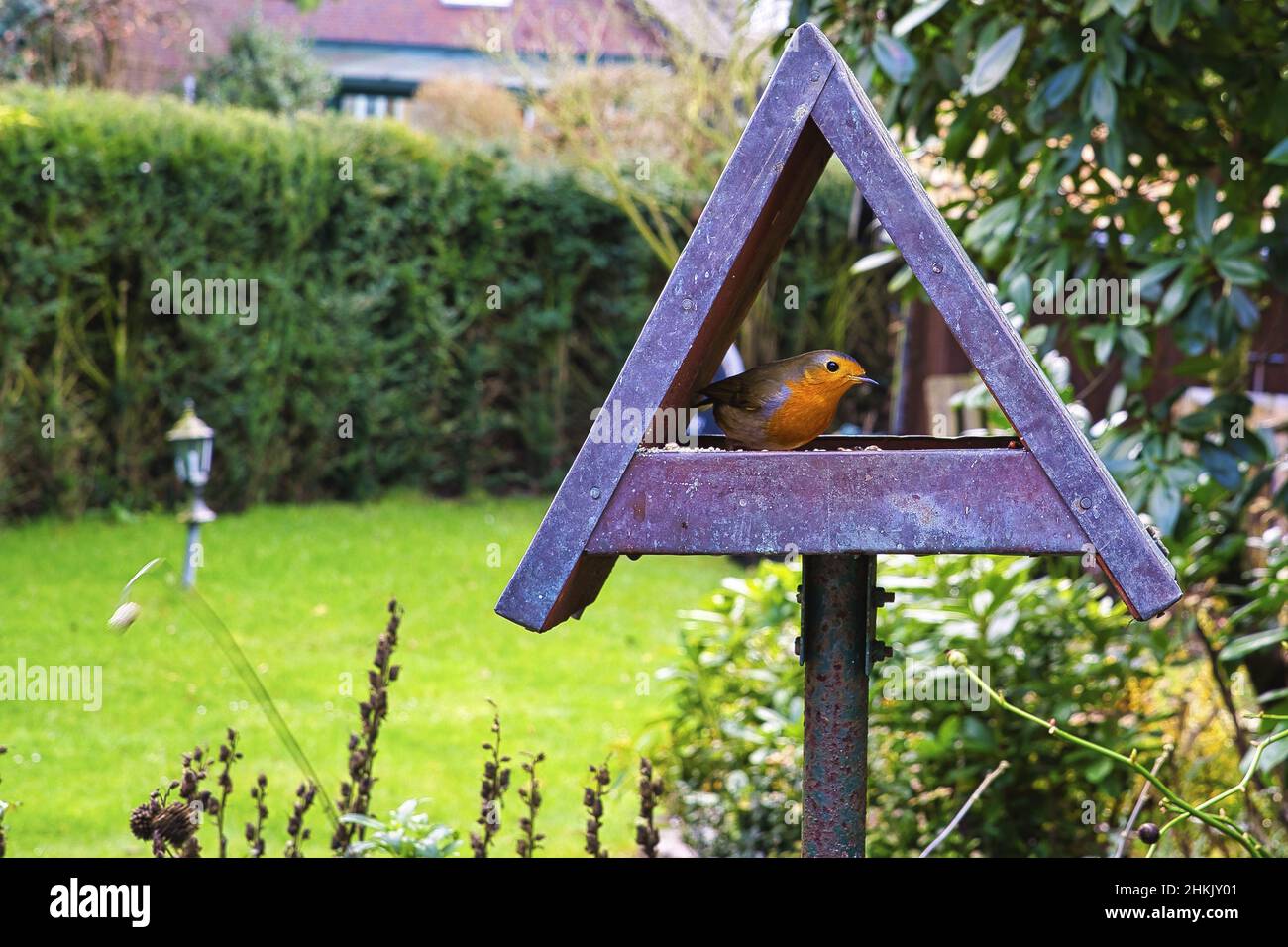 Photo of an triangular iron bird house with a robin inside it Stock ...