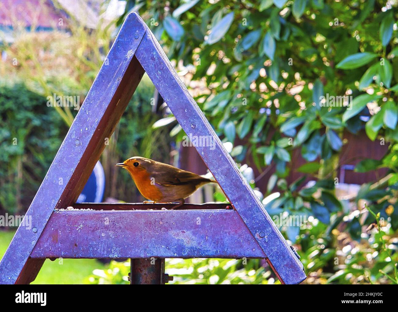 Photo of an triangular iron bird house with a robin inside it Stock ...