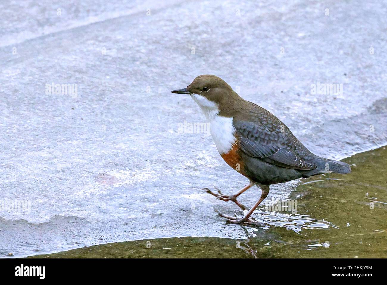 Riverbanks hi-res stock photography and images - Alamy