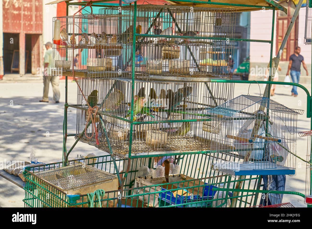 stand of a songbird merchant at the edge of the Chinese quarter, Cuba ...