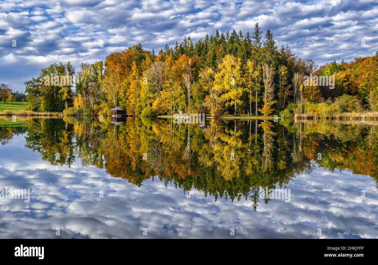 Haarsee lake in autumn, Germany, Bavaria, Oberbayern, Upper Bavaria ...
