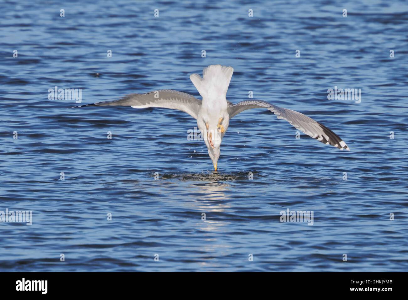 Broken nose hi-res stock photography and images - Alamy