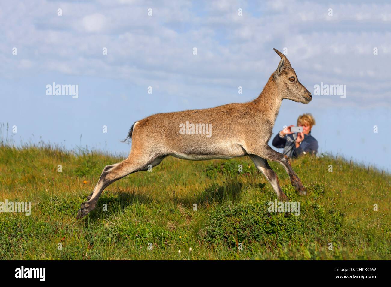 Telephones side by side hi-res stock photography and images - Alamy