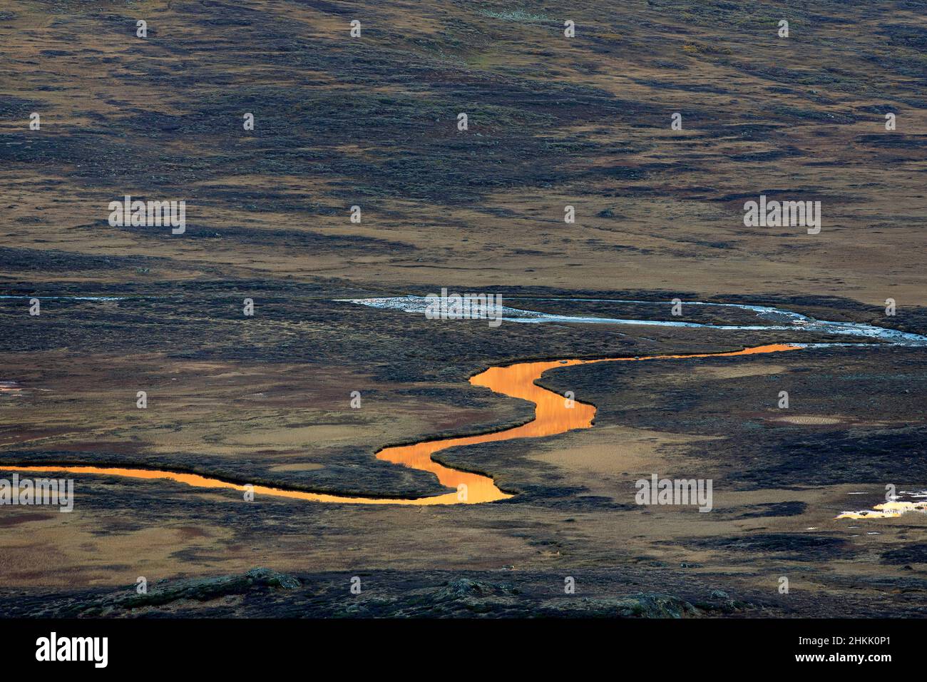 autumn in Forsinard Flows nature area, United Kingdom, Scotland ...