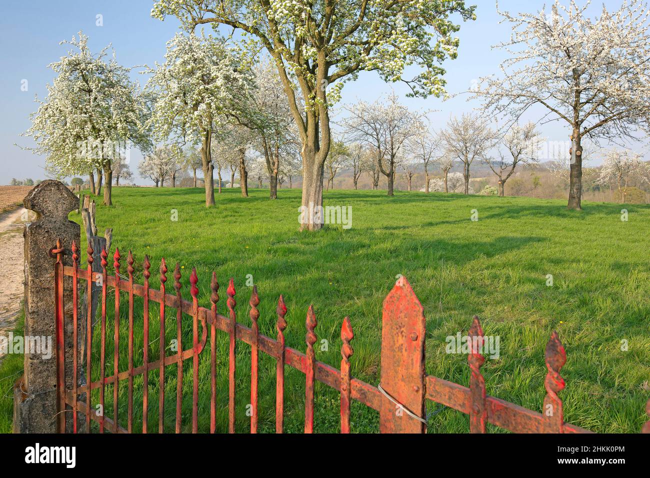 Voerstreek hi-res stock photography and images - Alamy