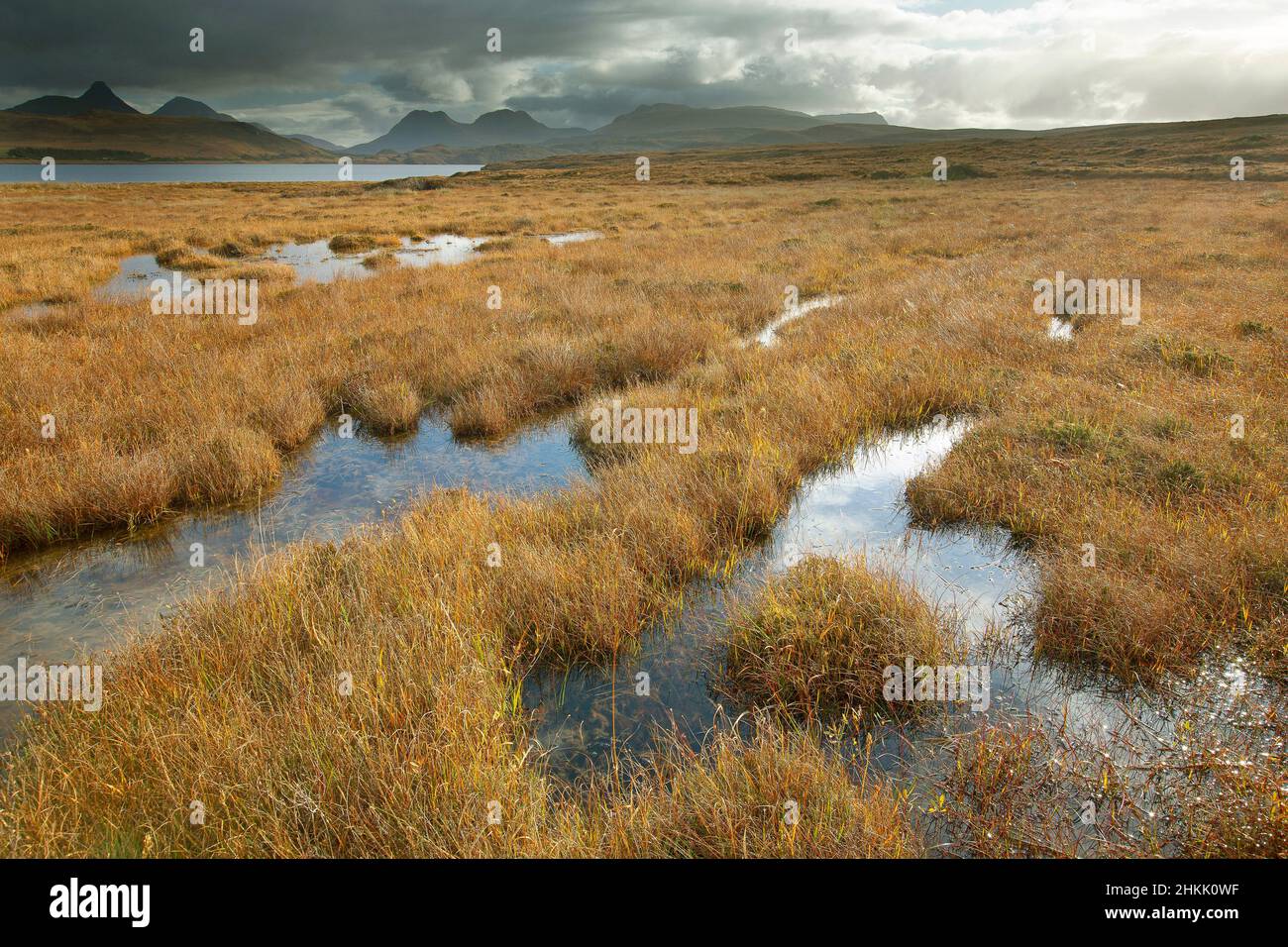 Forsinard flows scotland hi-res stock photography and images - Alamy