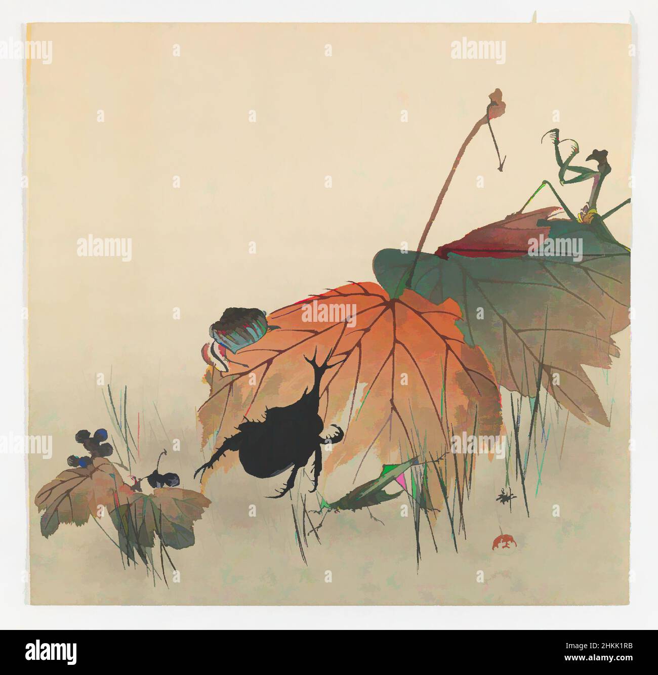 Japanese beetles maple leaves hi-res stock photography and images - Alamy