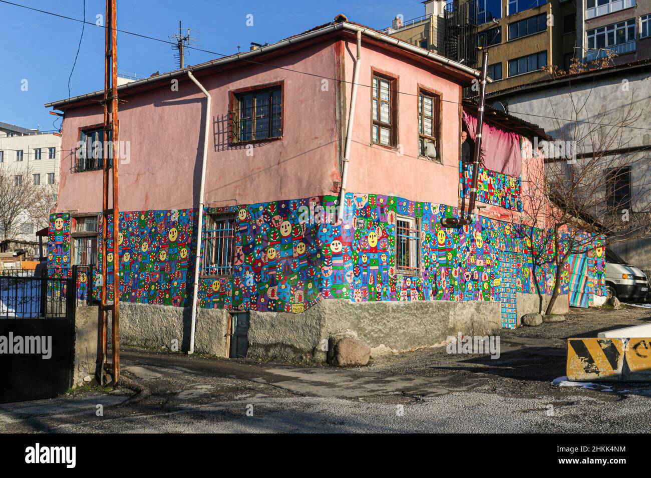 A view of Muhammed's painted house.Muhammed Yalç?n, who is mentally ...