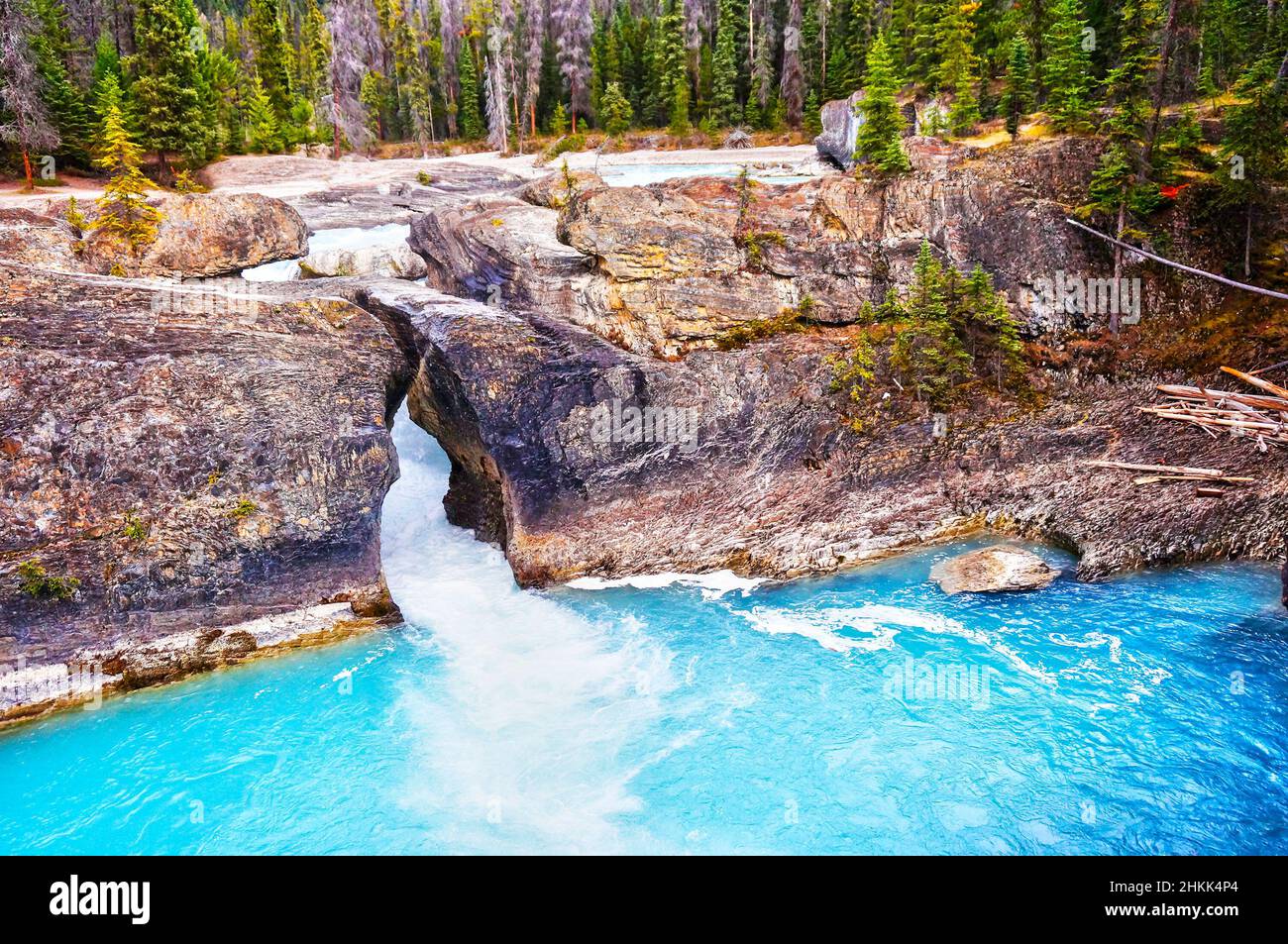 Rushing waters at the Kicking Horse River carves a path through this ...