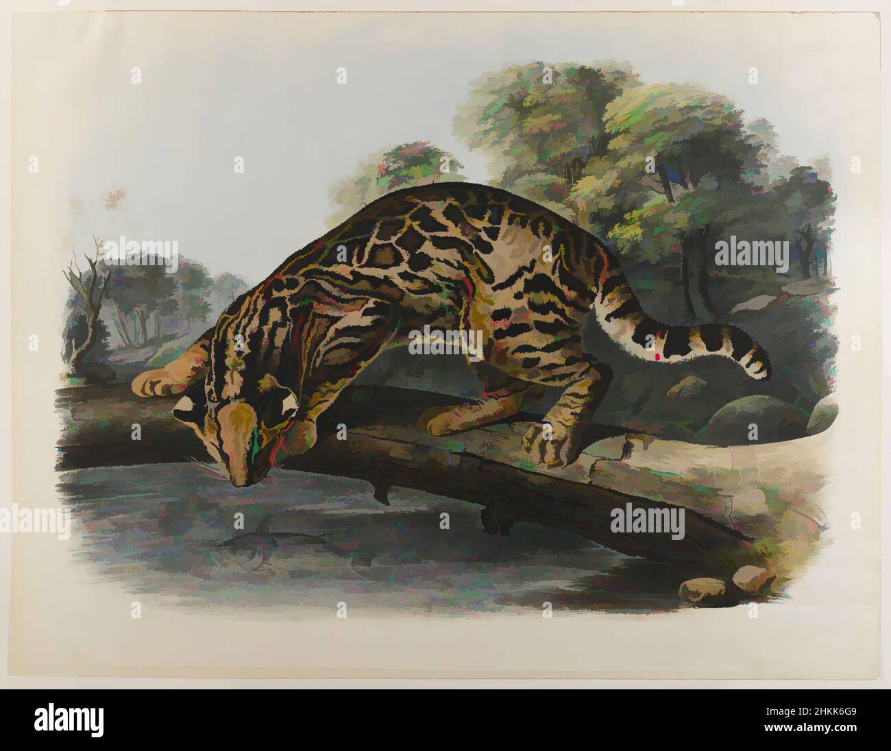 Art inspired by Ocelot or Leopard-Cat, John James Audubon, American ...